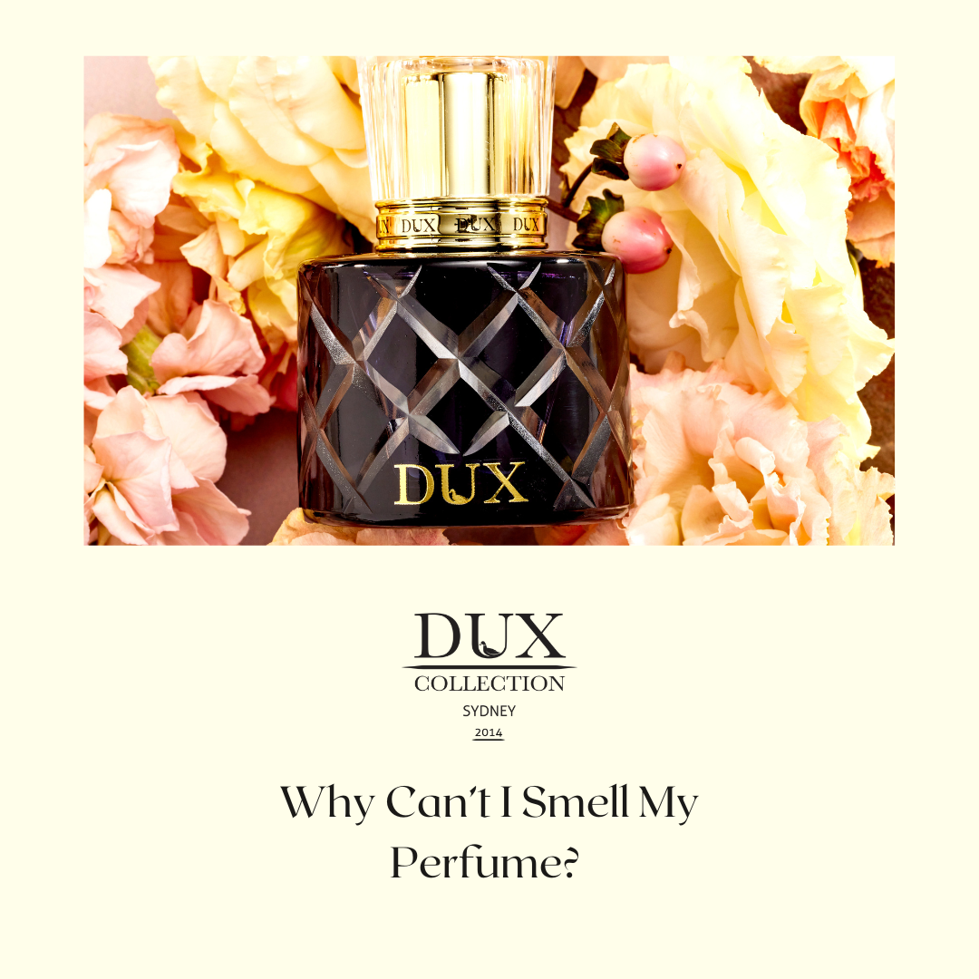 Why Can’t I Smell My Perfume? (And What It Actually Means)